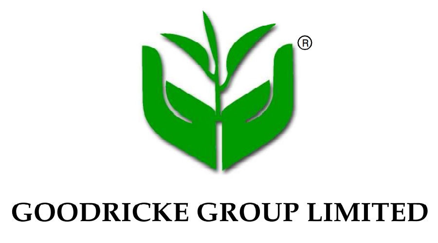 Goodricke Group Ltd executes non-binding MoU for sale of Leesh River ...